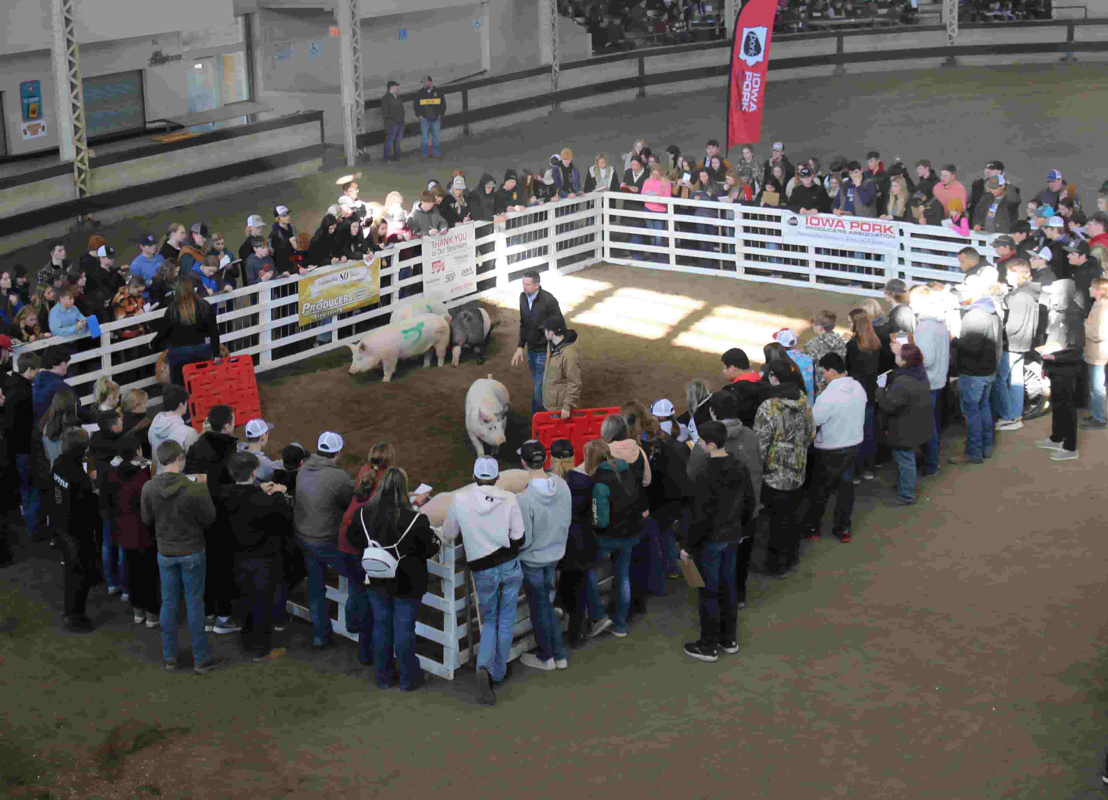 Youth Swine Judging Contest Awards $4,500 in Scholarships